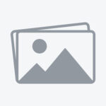 What Is the Most Aggressive Cancer? Understanding the Fastest-Growing ...